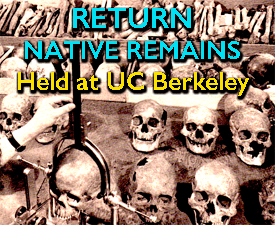 Skull and Bones: Native American burial remains at UC Berkeley.